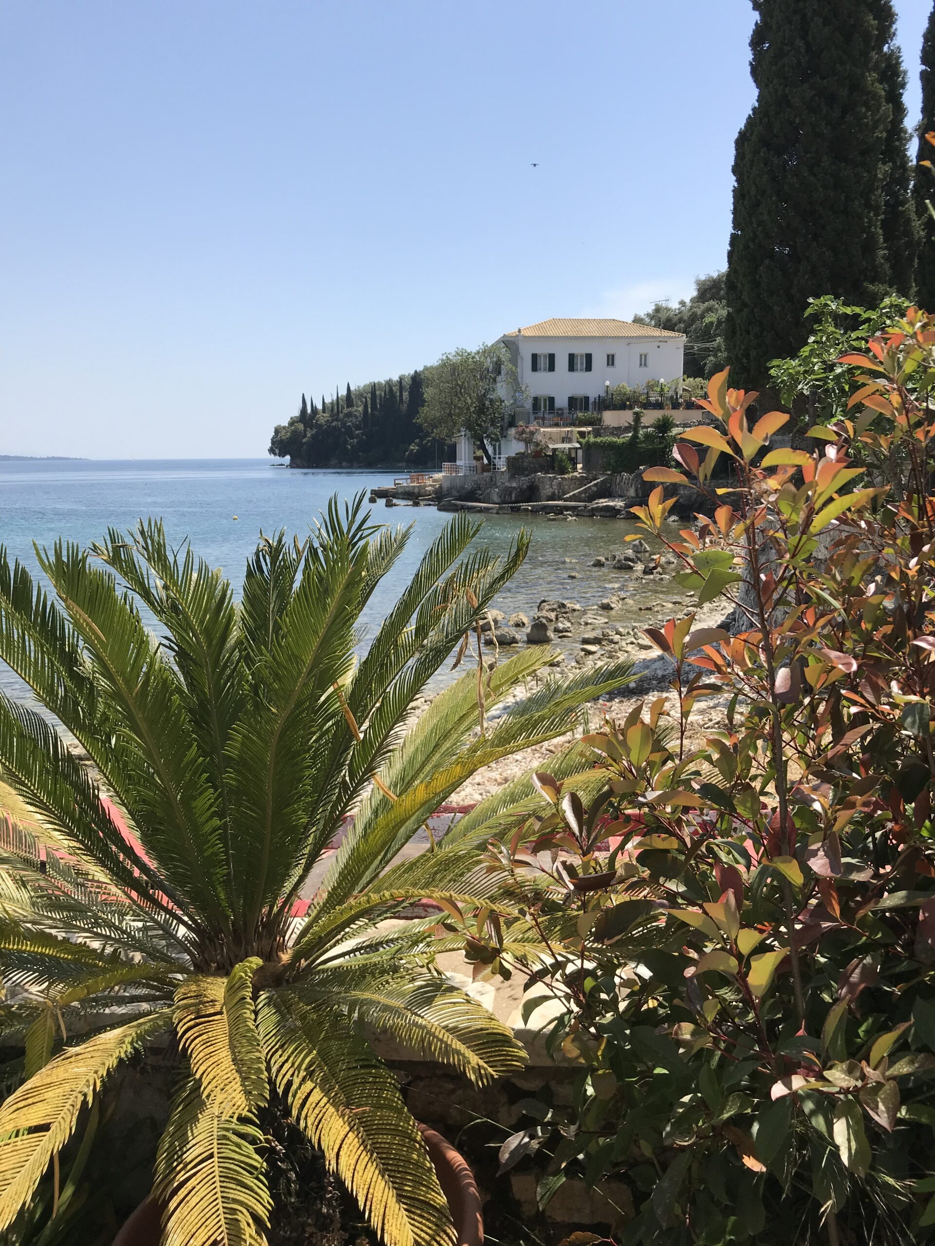 Gallery – Kalami Villas Corfu